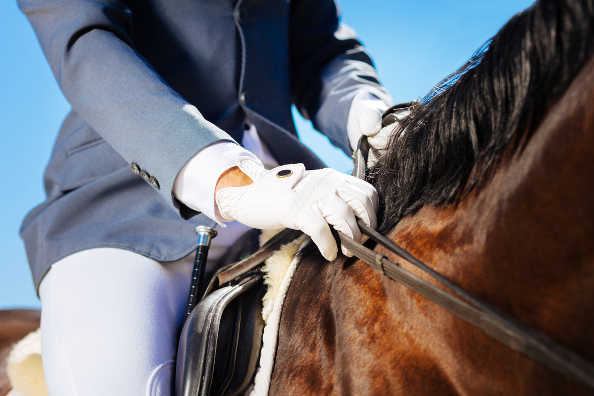 Equestrian Show Coats and Jackets Discount on Sale – Tack and Tweed, LLC
